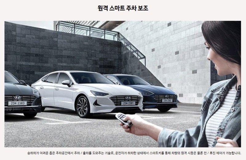 원격 스마트 주차(RSPA;Remote Smart Parking Assist) : 자동차 사양설명 [자동차구매클리닉]