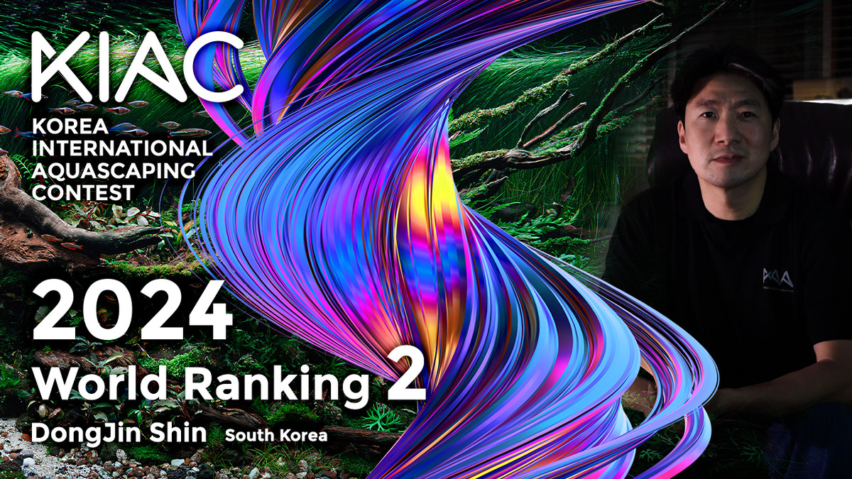 2024 KIAC [GOLD PRIZE] - SHIN DONGJIN Interview : News of KIAC