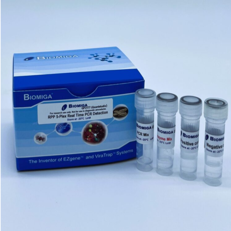 RPP 5-Plex Real Time PCR Detection : CHEMCOKOREA 켐코코리아