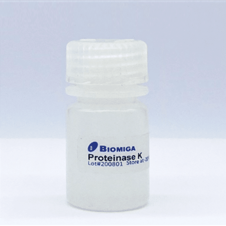 Proteinase K 100 mL 25 mg/mL : CHEMCOKOREA 켐코코리아