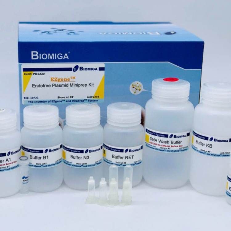 EndoFree Plasmid ezFlow Mini Kit : CHEMCOKOREA 켐코코리아