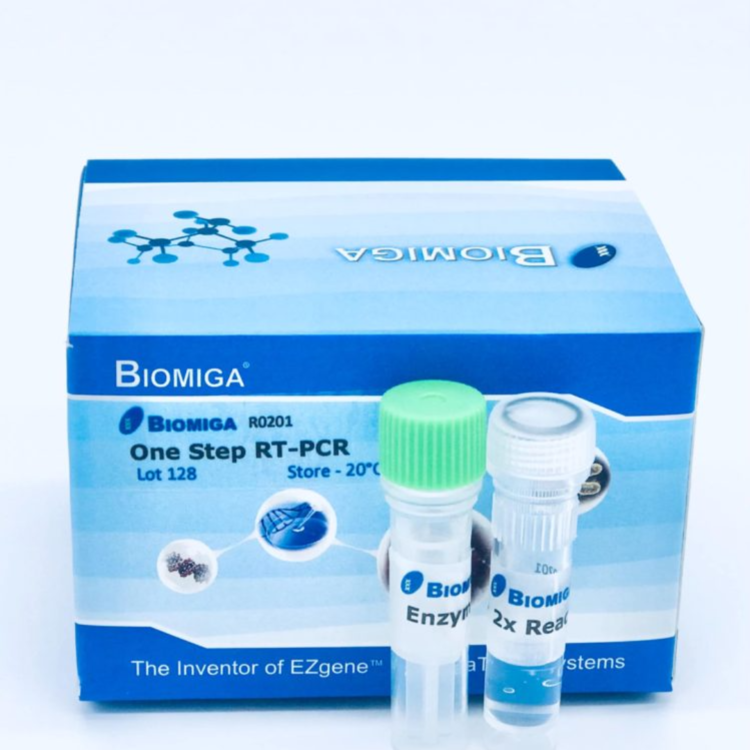 One-Step RT-PCR Kit : CHEMCOKOREA 켐코코리아
