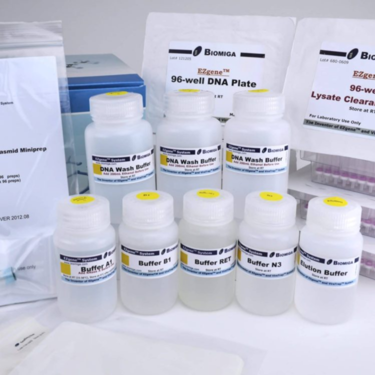 Endofree ezFilter 96-well plasmid Miniprep Kit : CHEMCOKOREA 켐코코리아