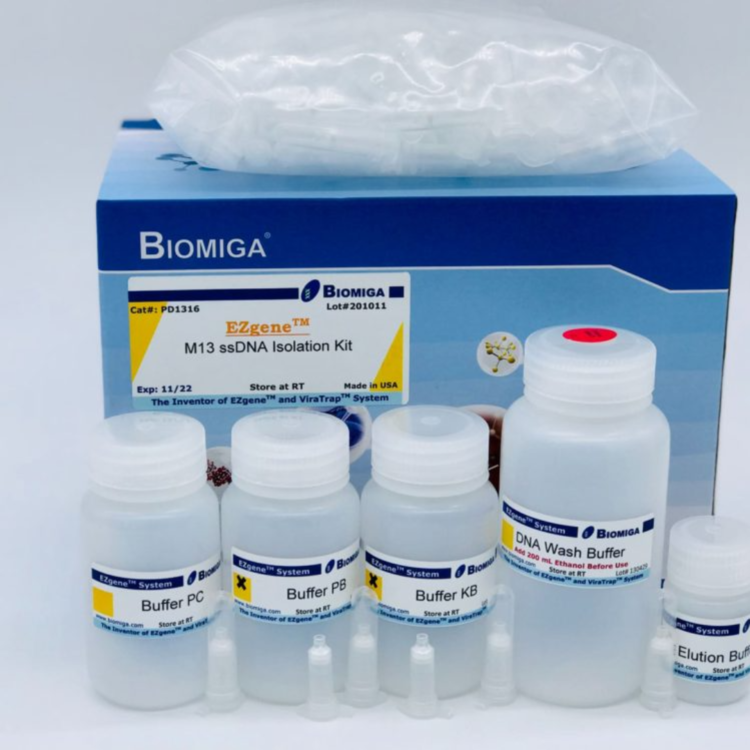 M13 Isolation Kit : CHEMCOKOREA 켐코코리아