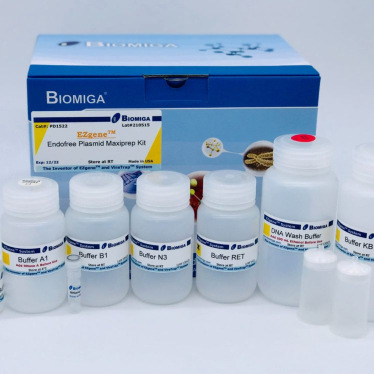 EndoFree plasmid ezFlow ezFilter maxi kit : CHEMCOKOREA 켐코코리아