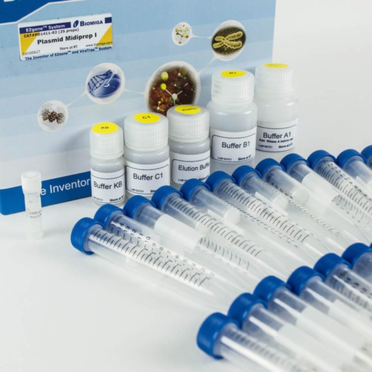 Plasmid Midi Kit I : CHEMCOKOREA 켐코코리아