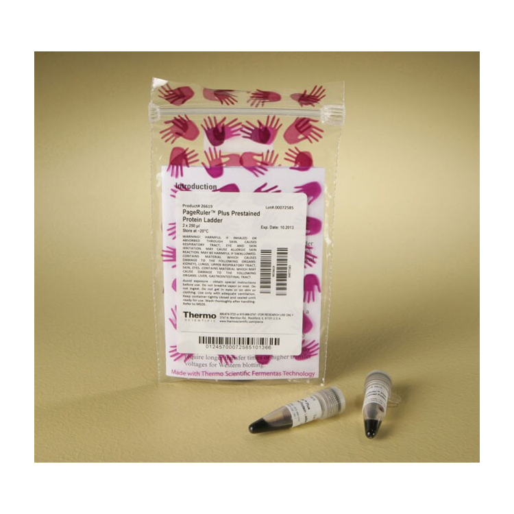 PageRuler™ Plus Prestained Protein Ladder, 10 to 250 kDa, 2 x 250 µL ...