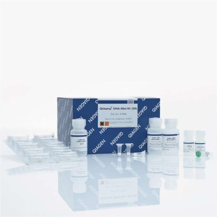 QIAamp DNA mini kit 250T : HLB바이오스텝 B2B MALL