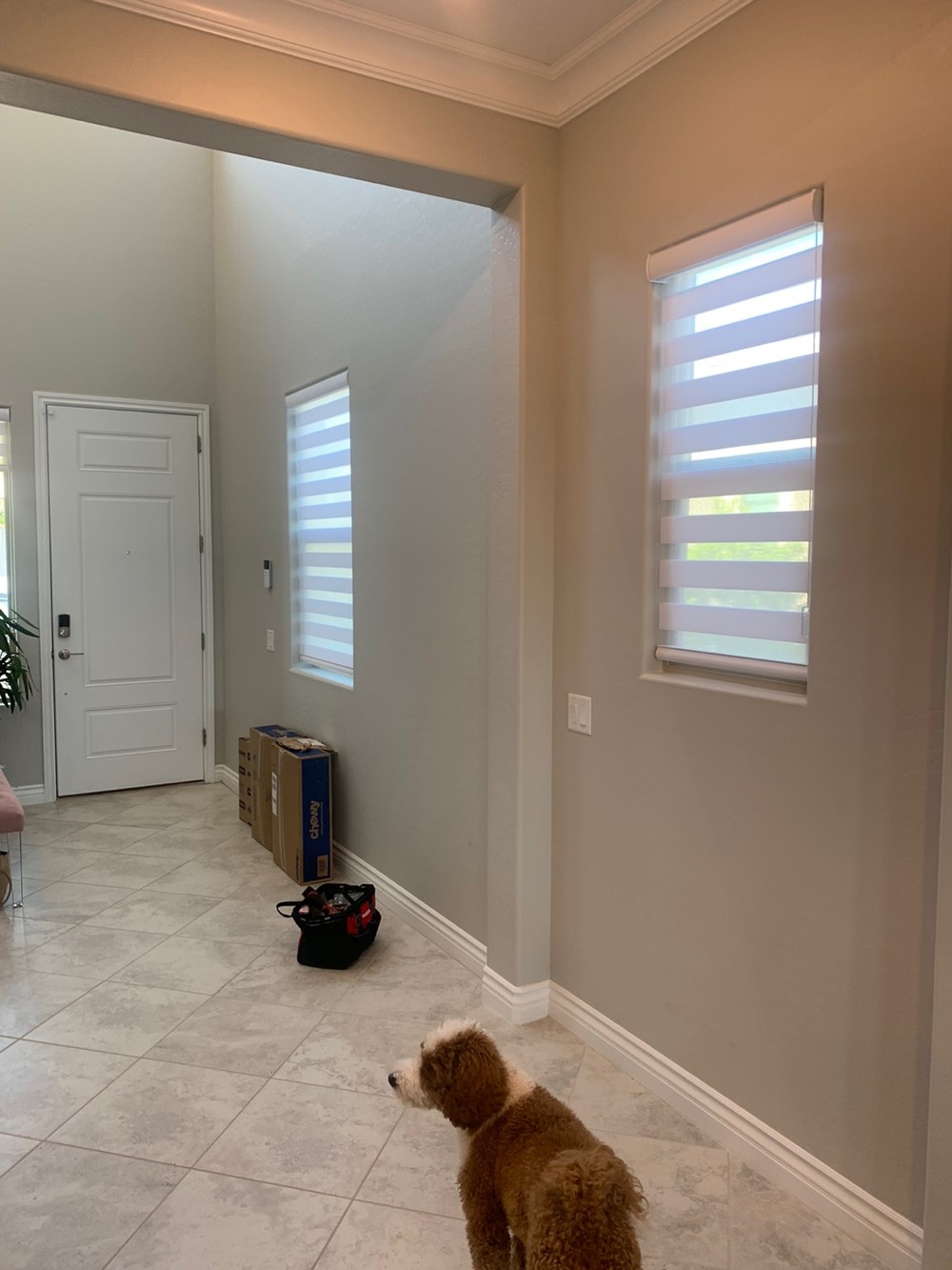 jun3h님의 웹사이트