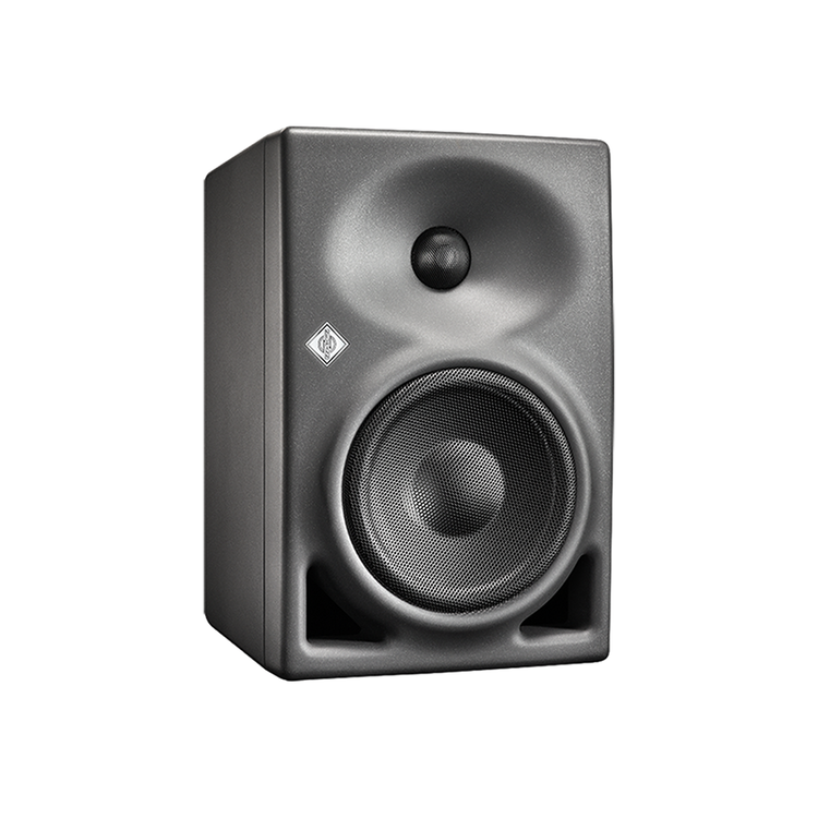 Neumann KH120A Grey 노이만 스피커