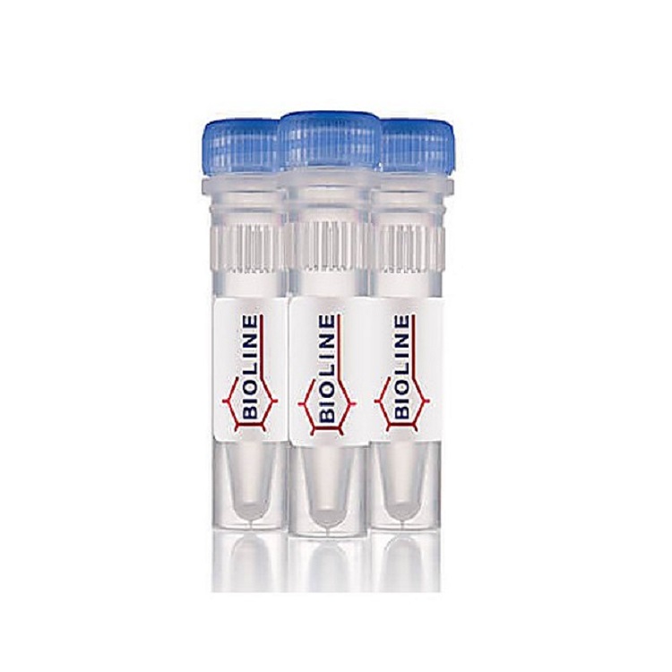 SensiFAST™ SYBR® Hi-ROX Kit : JoaLab-Dealer2