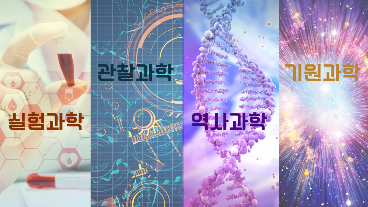 [ESC Letter] Vol.20 🍊 5월의 숲사이, ESC 회원 소식 가득🍐 : ESC Letter