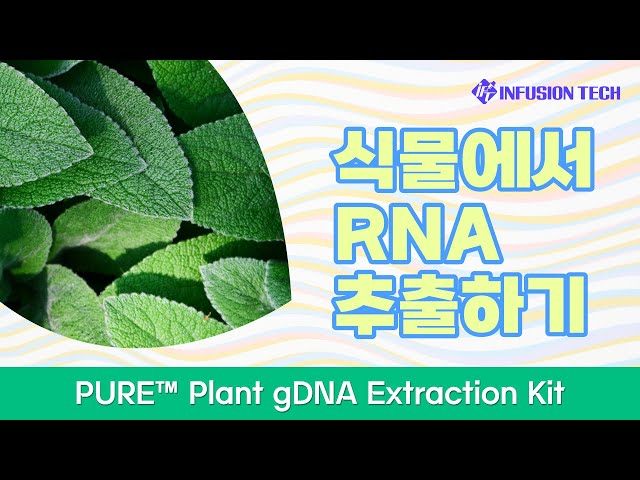 [PRG811] PURE™ Plant RNA Extraction Kit 매뉴얼 영상 : 제품 영상