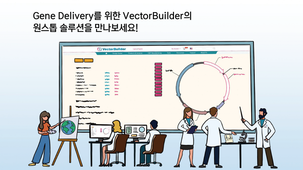 Gene Delivery의 원스톱 솔루션을 제공하는 VectorBuilder를 소개합니다! : VectorBuilder 제품 소개