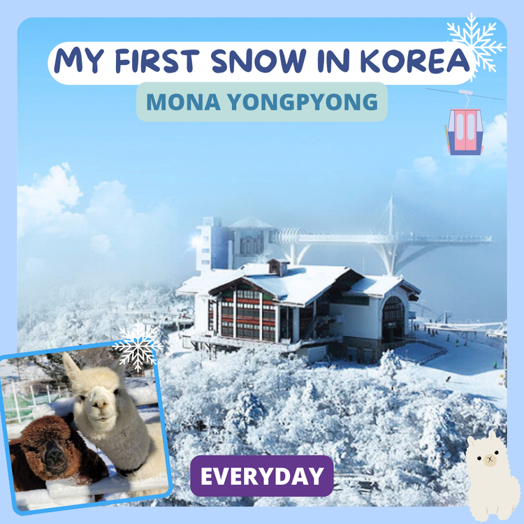 ️ My first snow in Korea - Mona Yongpyong ☃️ : WINTERFRIEND