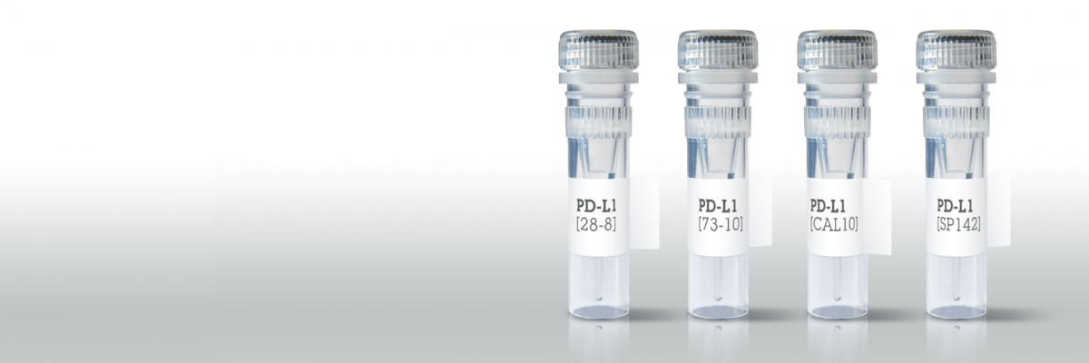 Antibody Panels : Abcam 제품 소개