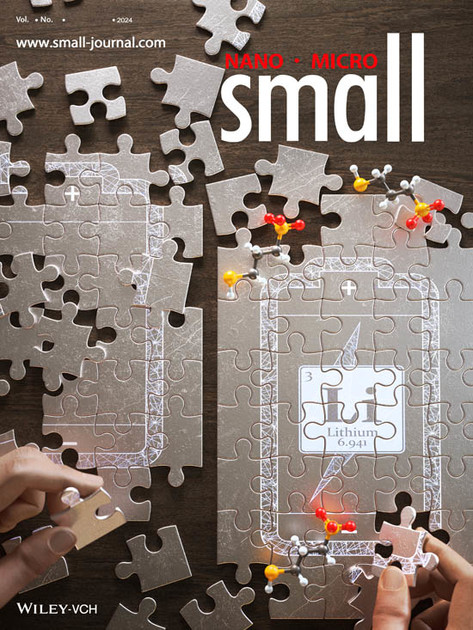 Wiley_Small : Publishing News