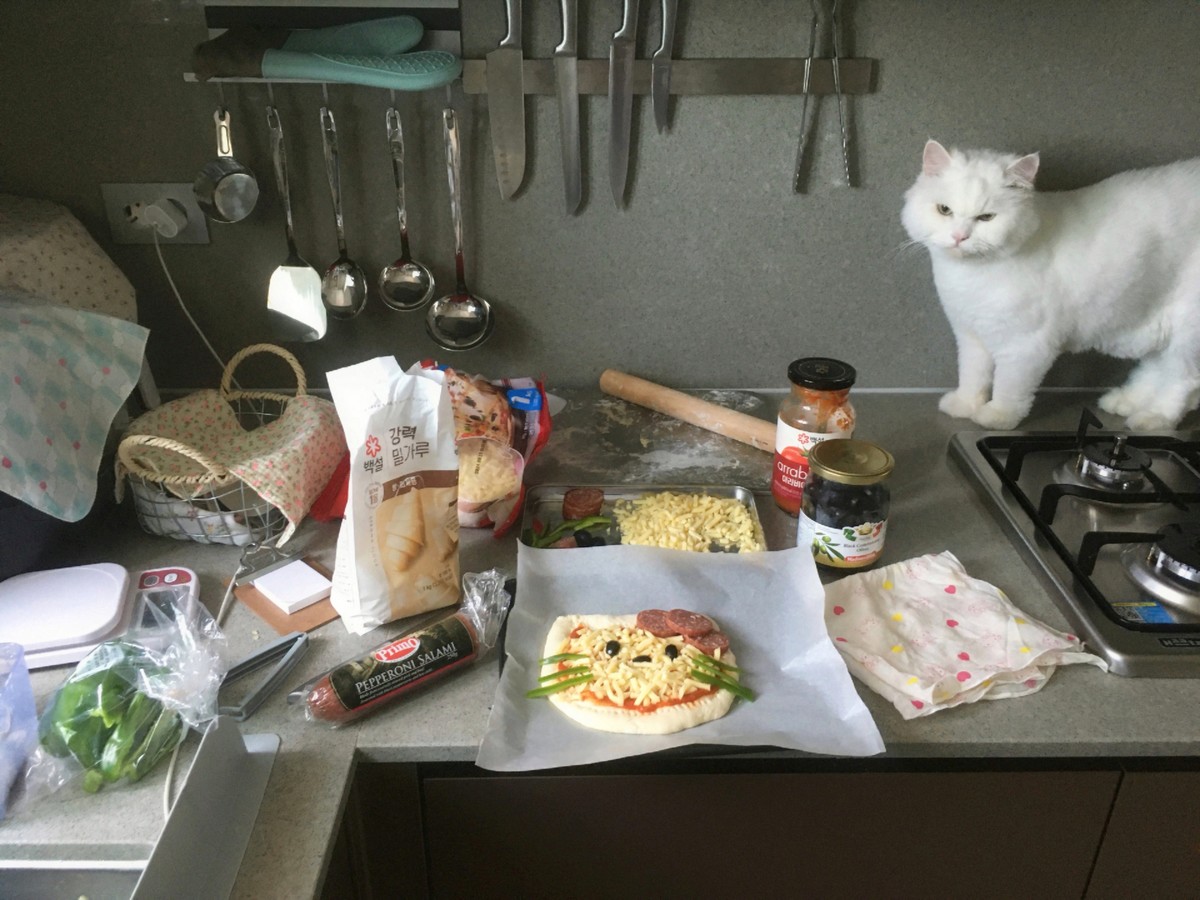 vol.36 연홈과 소미가 사는 집 : wugo集