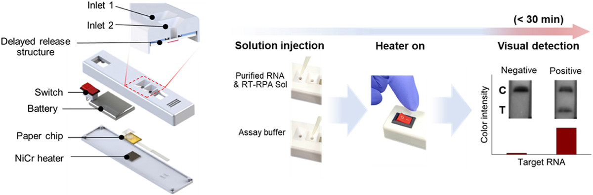 A portable, rapid isothermal amplification kit enabling naked eye ...