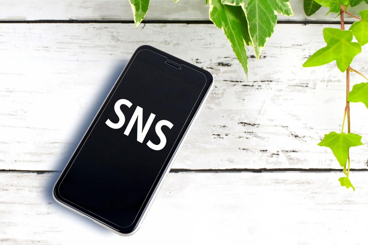 SNS를 활용한 마케팅의 중요성과 인플루언서의 역할 : 비빈코리아