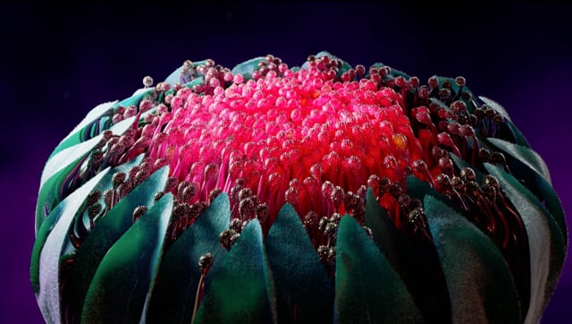 Virtual Riot Tour Visuals 2024 : mg25