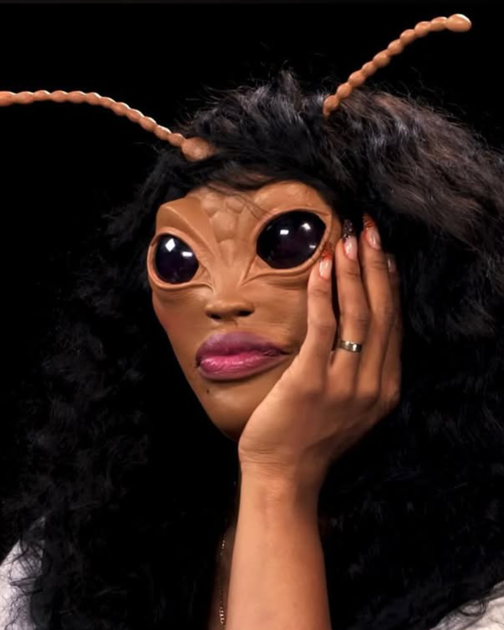 SZA loves bugs 그녀의 곤충은 누가 만들었을까 : HIGH CUT