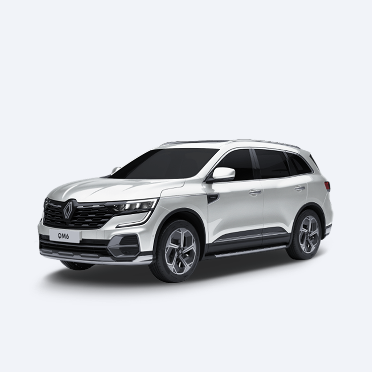 더뉴QM6 신형 QM6 2.0 LPe RE 25MY : 샤카