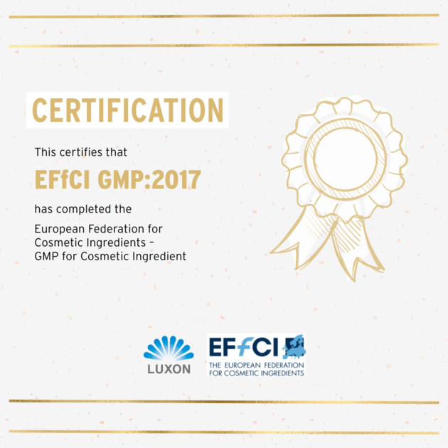 EFfCI- GMP Certification : NEWS
