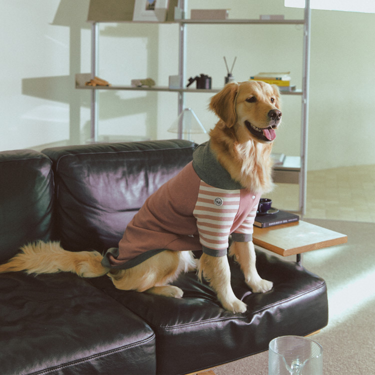 City Hoodie (Dusty Pink) : CANEV. 카네브 공식 스토어