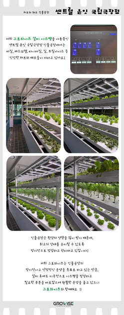 윤잇 국립극장, 허브와 채소 식물공장 : GROWISE Inc.