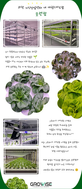 과천 지식산업센터 내 대형 스마트팜, 포렛팜 : GROWISE Inc.