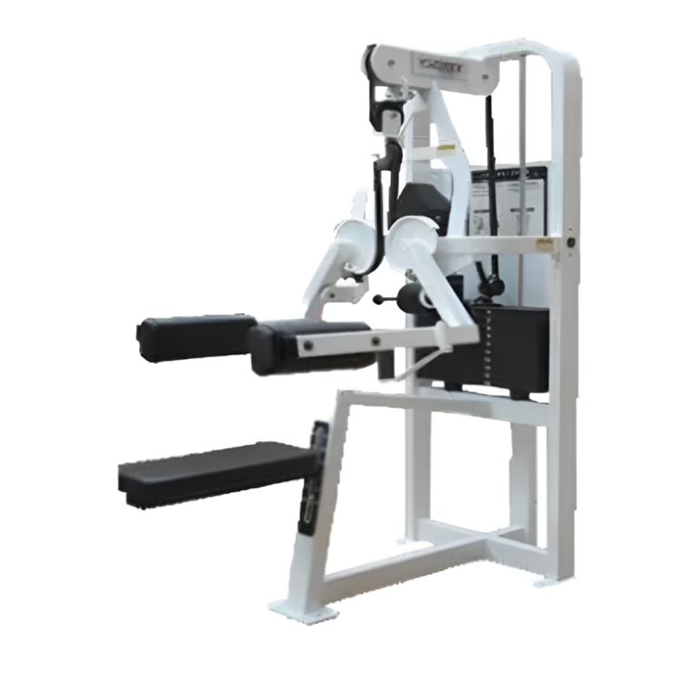 Cybex VR2 Lat Lateral Raise 4530 : ALLBING | 올빙