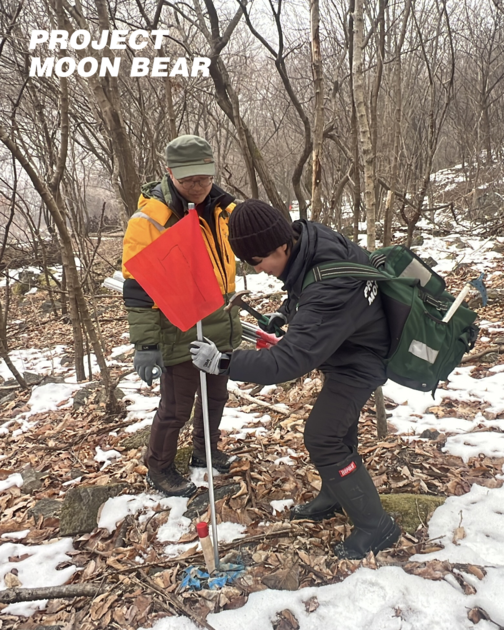 제2곰숲 모금은 잘 되고 있습니다. : 곰 보금자리 프로젝트 : Project Moon Bear