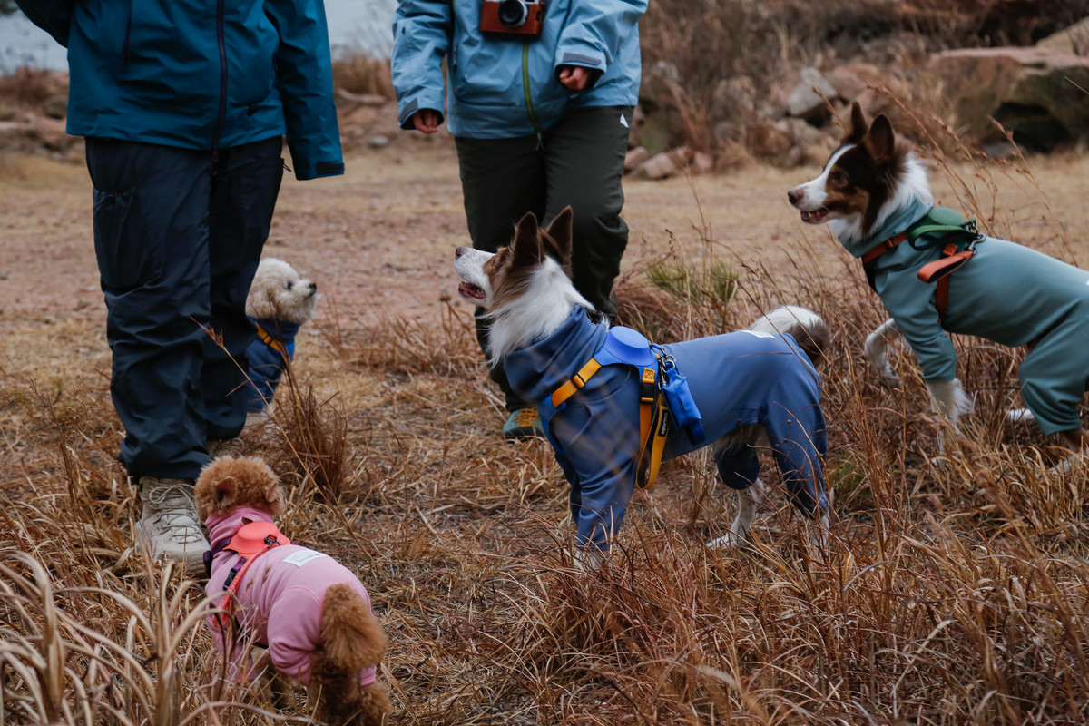 [Note#2] Anti-Bug Active Suit Commercial Version Field Test : TRIP ...
