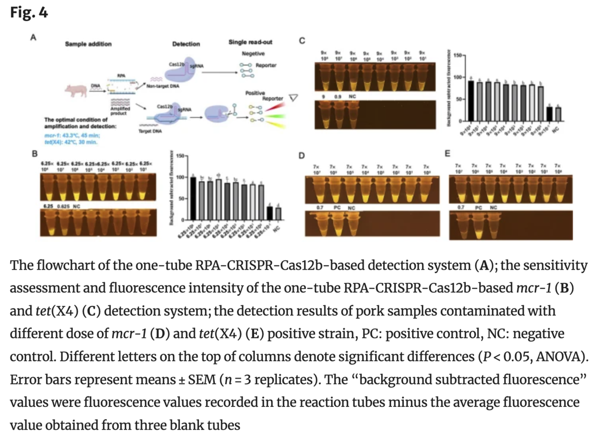 Development and evaluation of rapid and accurate one-tube RPA-CRISPR ...