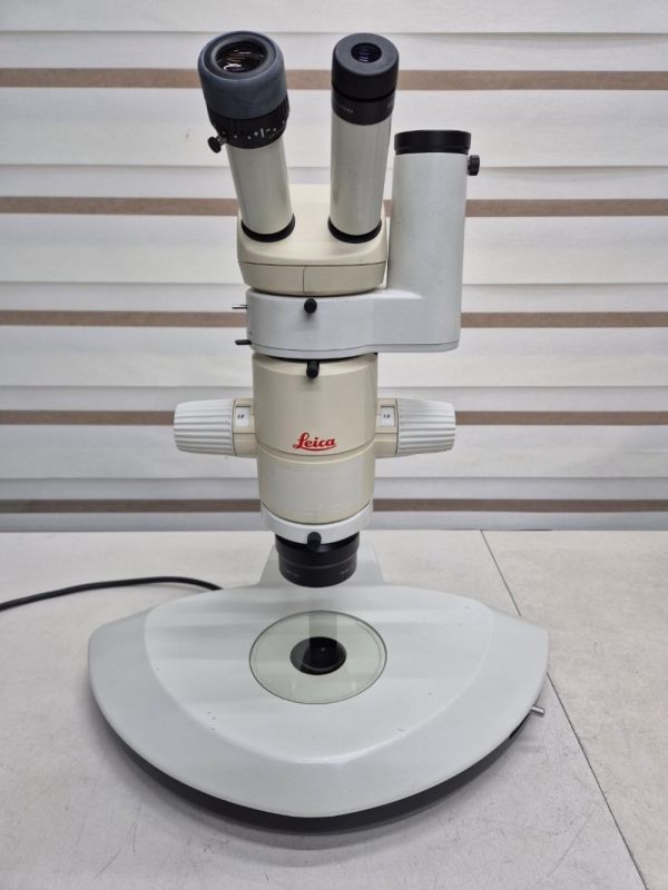 Leica MZ8 Stereo microscope 현미경 : 엠아이티솔루션