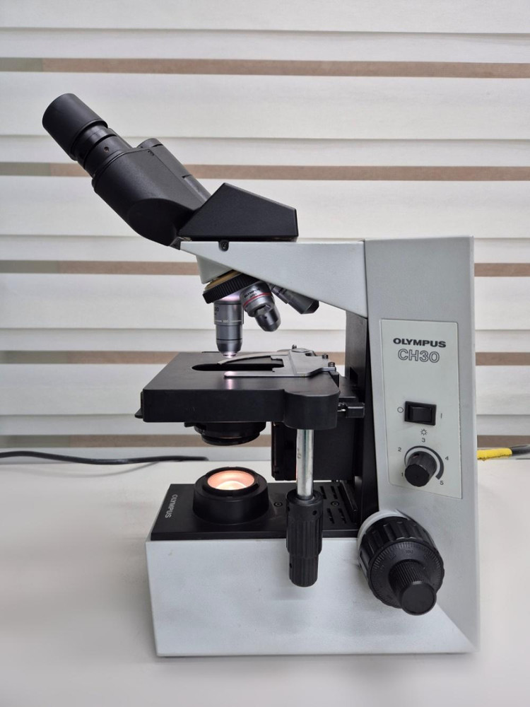 OLYMPUS CH30 Microscope 생물현미경 110V : 엠아이티솔루션