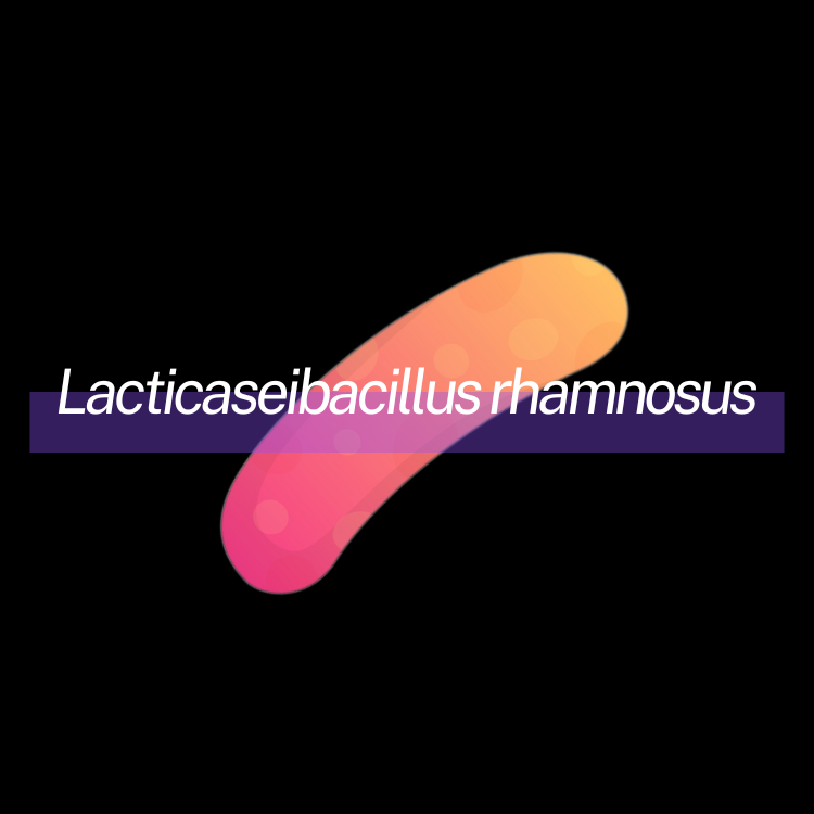 LAB2PRO유산균 Lacticaseibacillus rhamnosus feminine : 동일팜텍님의 웹사이트