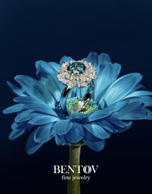 Fleur de Lotus : BENTOV - 뉴스룸