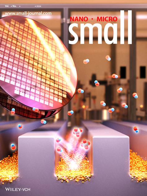 Wiley_Small : Publishing News