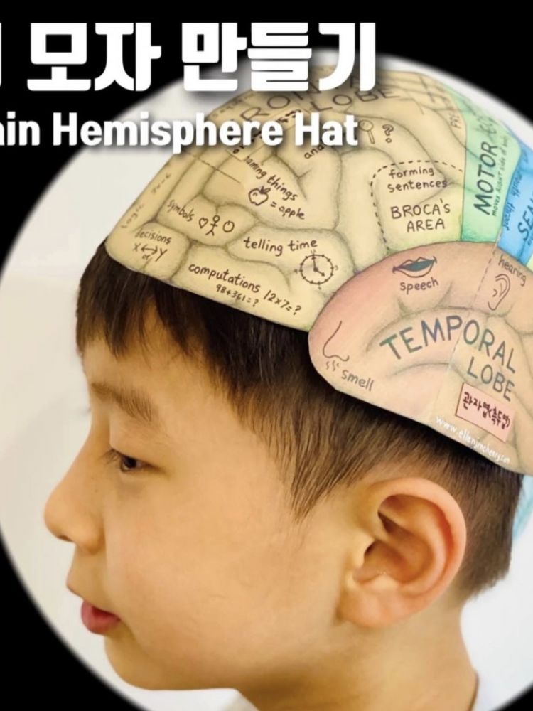 뇌 모자 만들기 Brain Hemisphere Hat : chaewooda studio