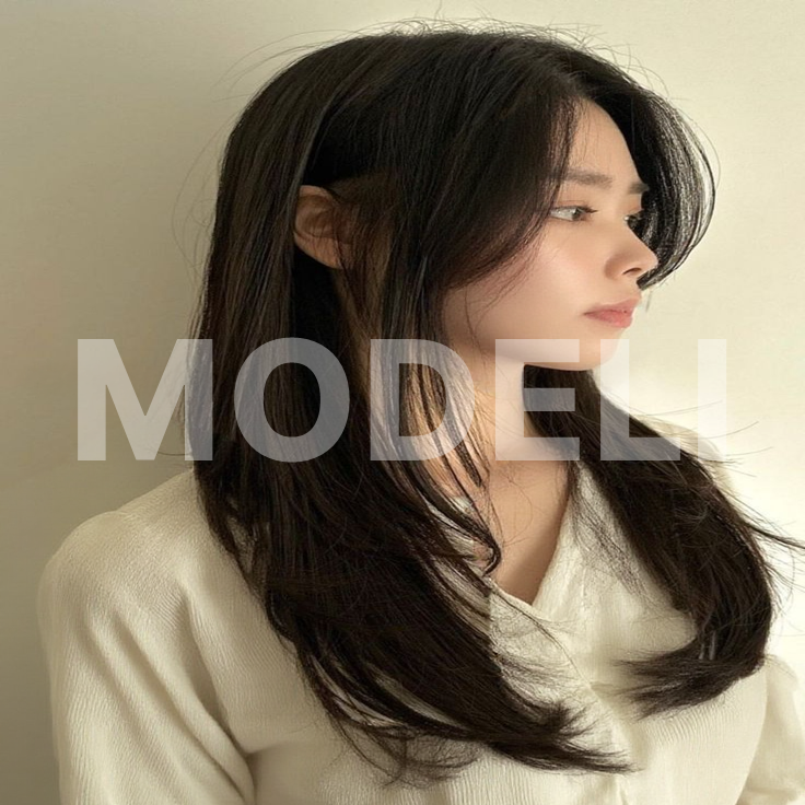 W-20250320-4 : 모델리