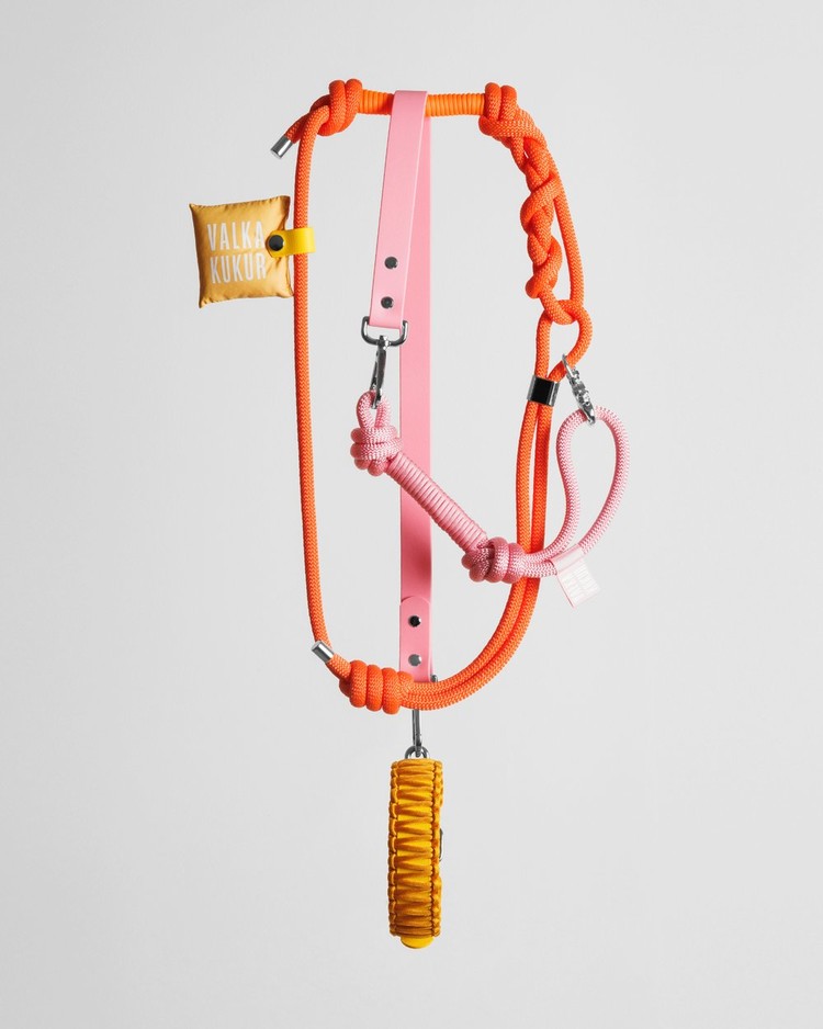 leash