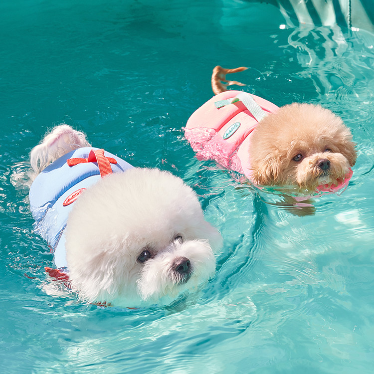 도그아이 애견 수영복 조이플 구명조끼 (DG012) : 슈퍼펫