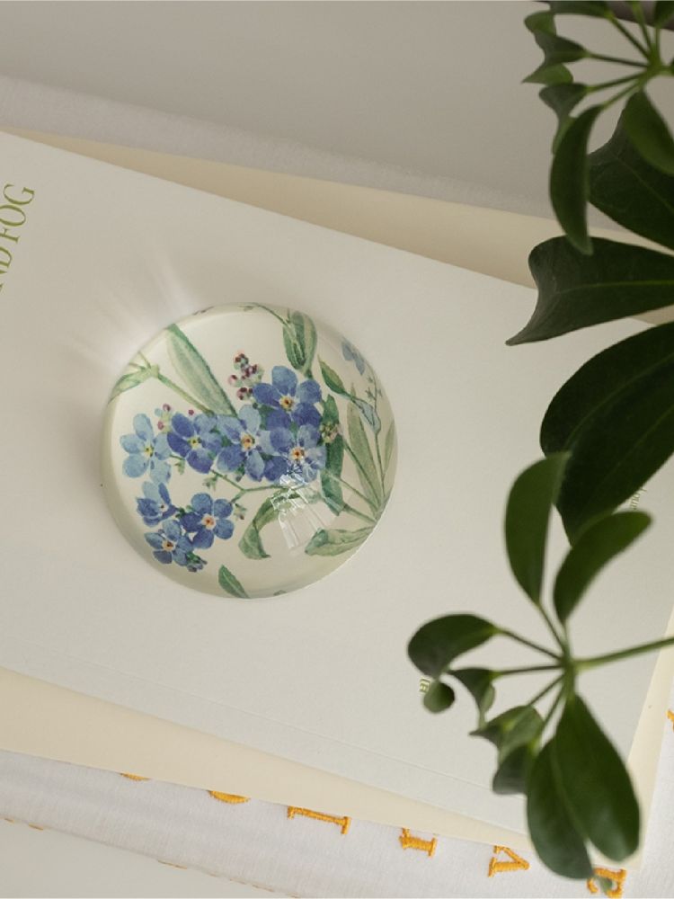 Forget me not paperweight : 데이앤모먼트