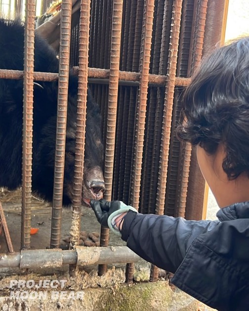 겨울 마무리 : 곰 보금자리 프로젝트 : Project Moon Bear