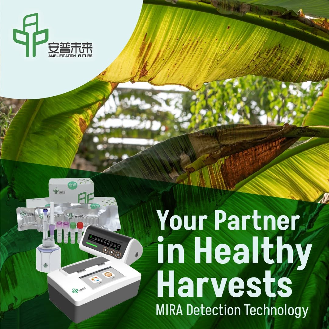 MIRA Detection Technology : Your Partner in Healthy Harvests : 이앤씨바이오