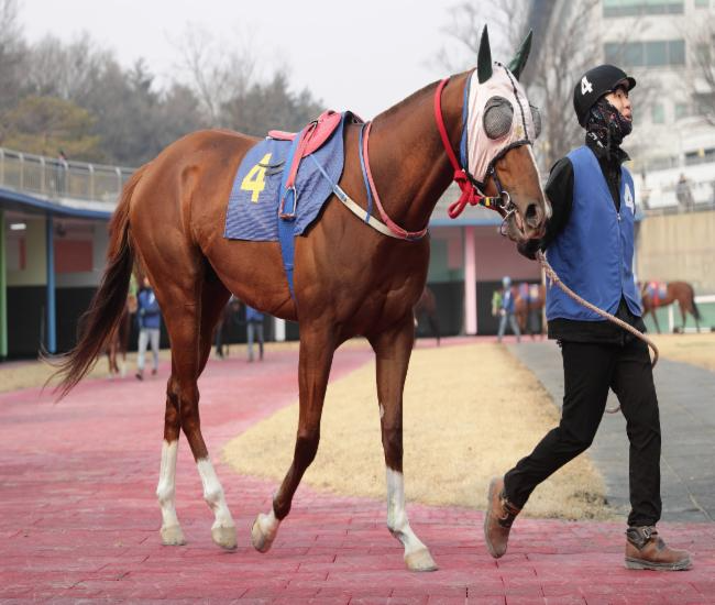 2025년 스프린터 시리즈 두 번째 관문, SBS스포츠 스프린트(G3) '빈체로카발로' 우승 : 마사일호 트리플나인 뉴스