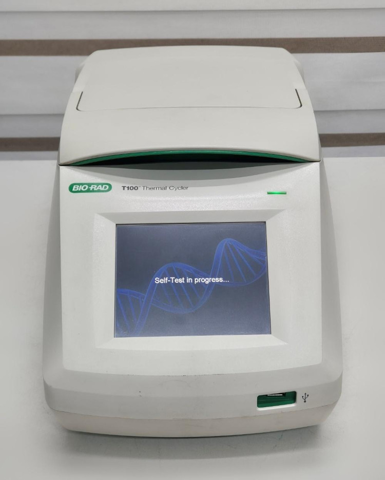 BIO RAD T100 Thermal Cycler PCR : 엠아이티솔루션