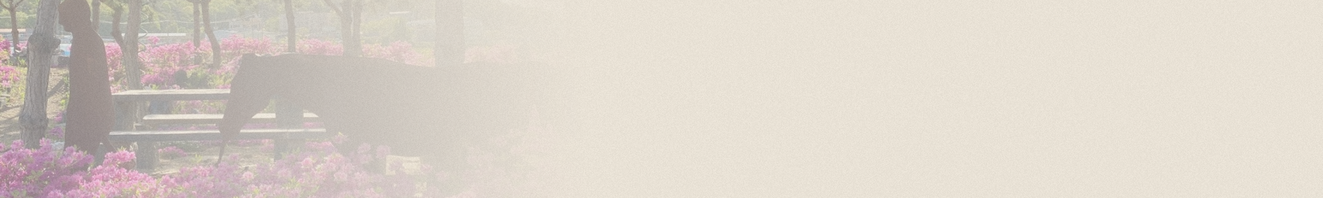 Corten Weathering Steel Application | WONSTEEL